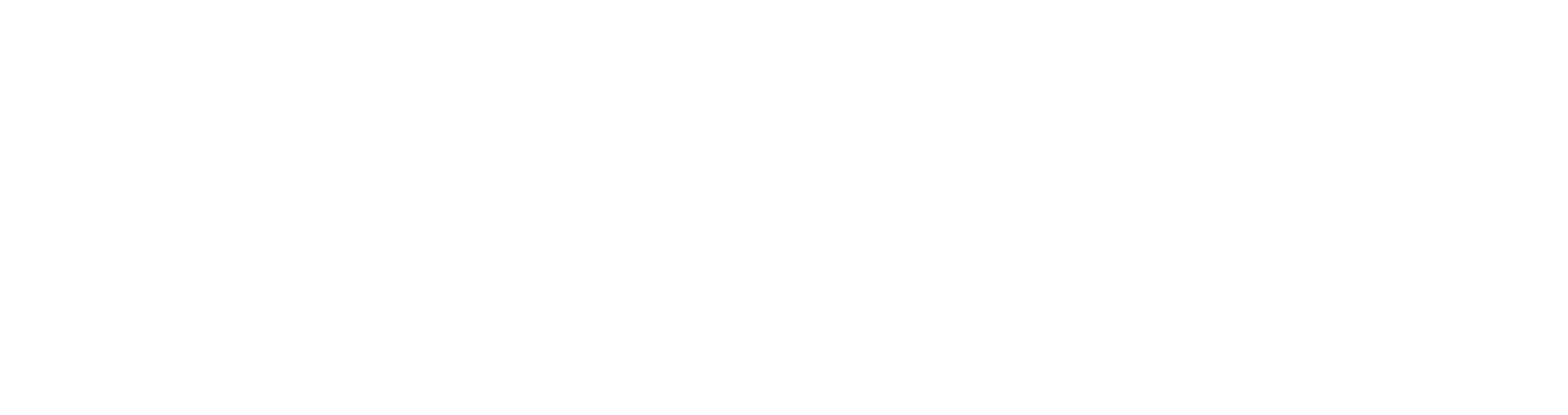 Bamboo Passive - Professional Ribbon Microphone for Live and Studio ...